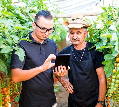 How to Open a Business Checking Account Online | Bluevine